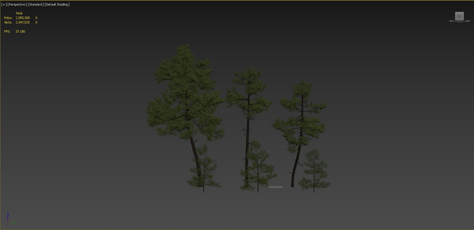 3D Pinus Brutia Pines Corona Model - TurboSquid 1603998