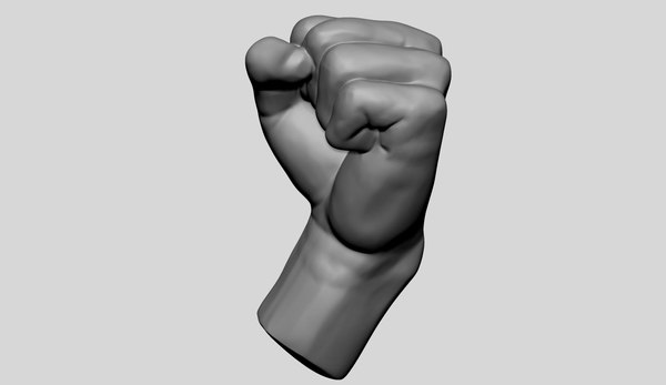 3D fist ztl zbrush model - TurboSquid 1410235