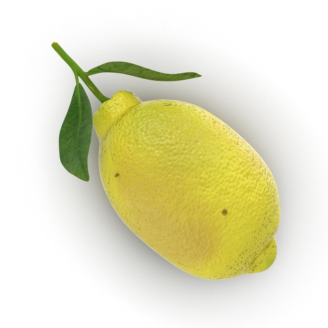 3d Lemon 2 Model