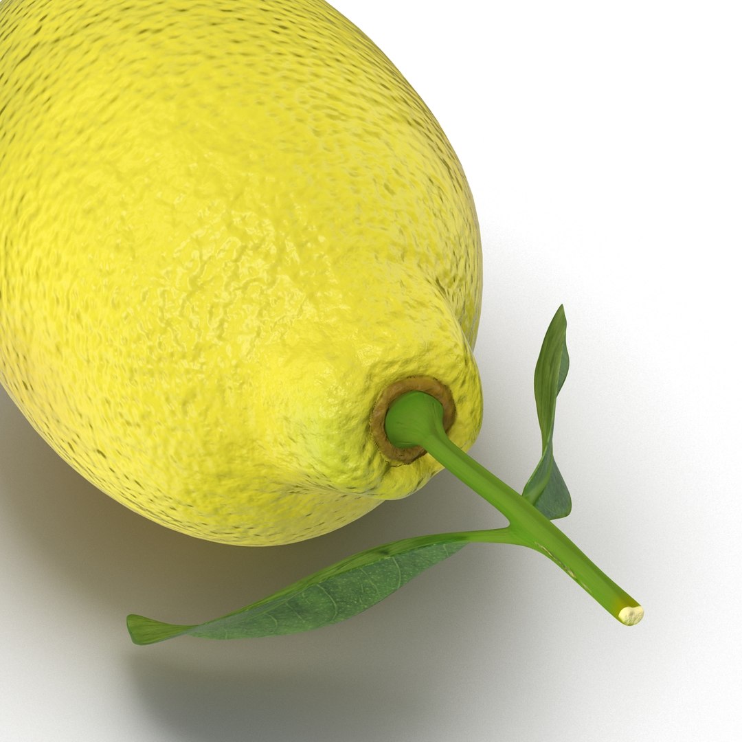3d Lemon 2 Model