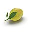 3d lemon 2 model