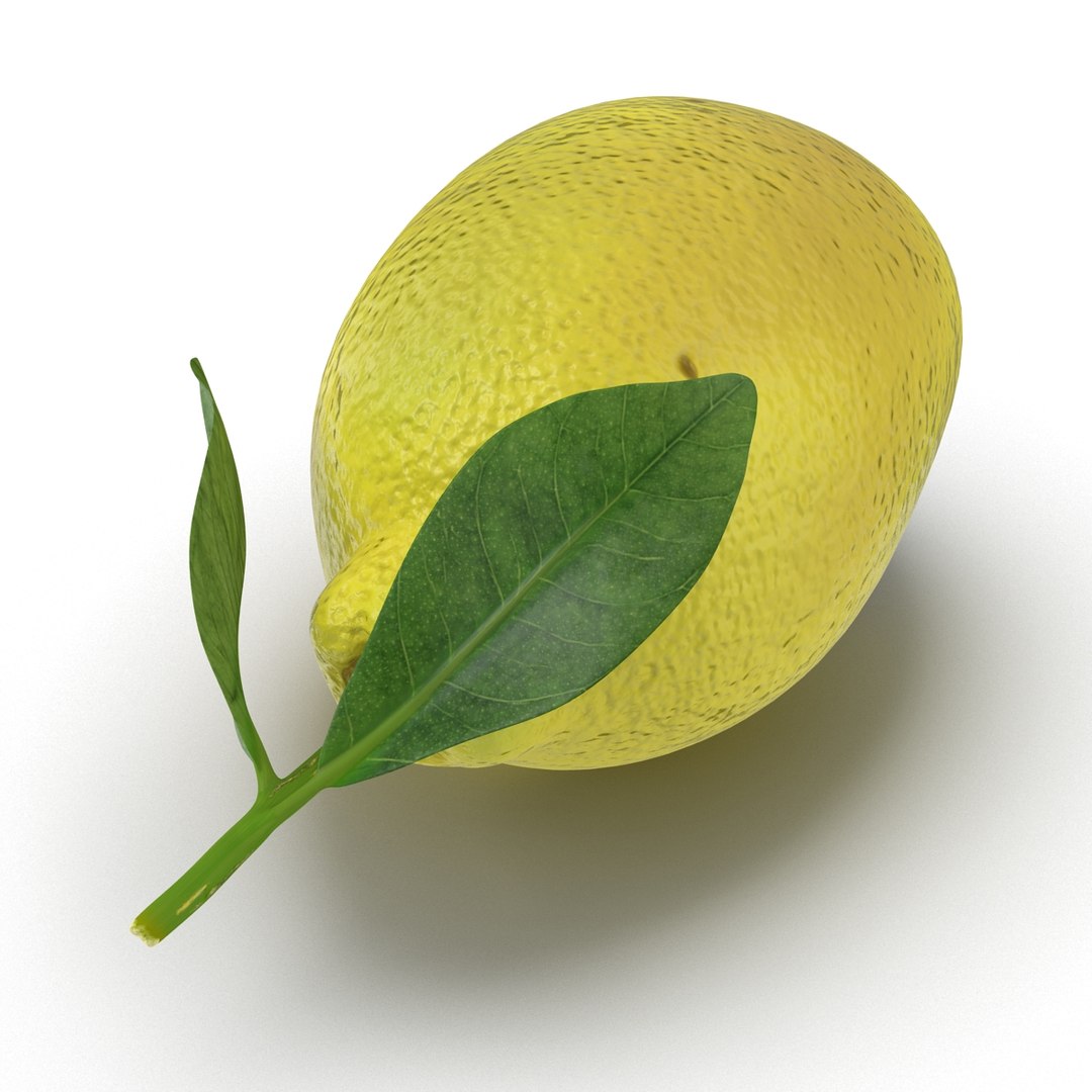 3d Lemon 2 Model
