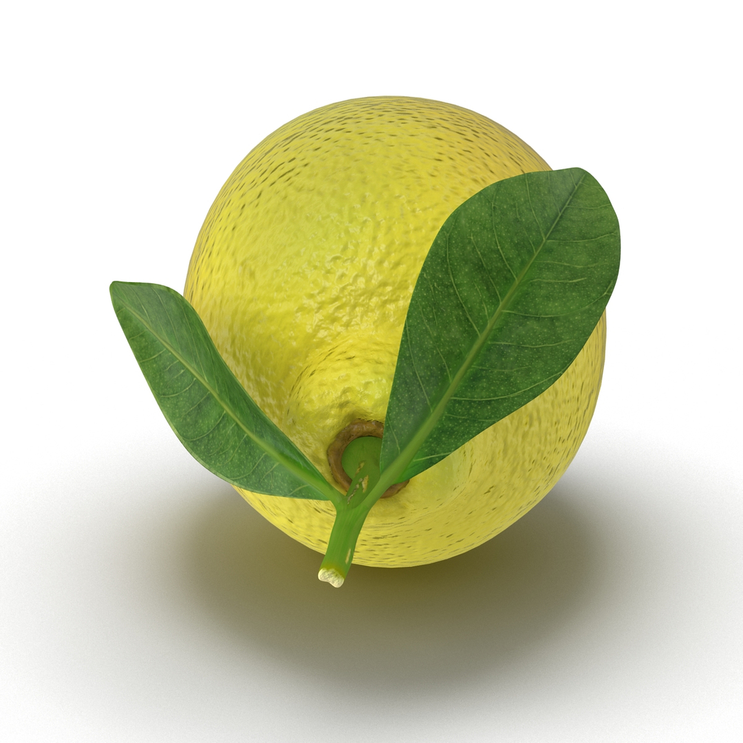 3d lemon 2 model