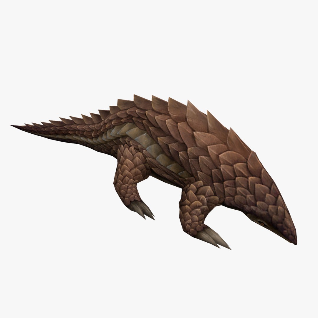 Pangolin Model - TurboSquid 2190661