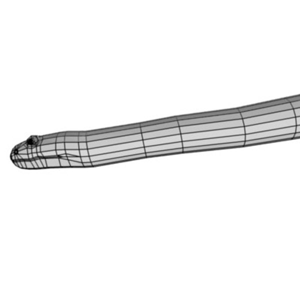 3d model snakes cobra python rattlesnake