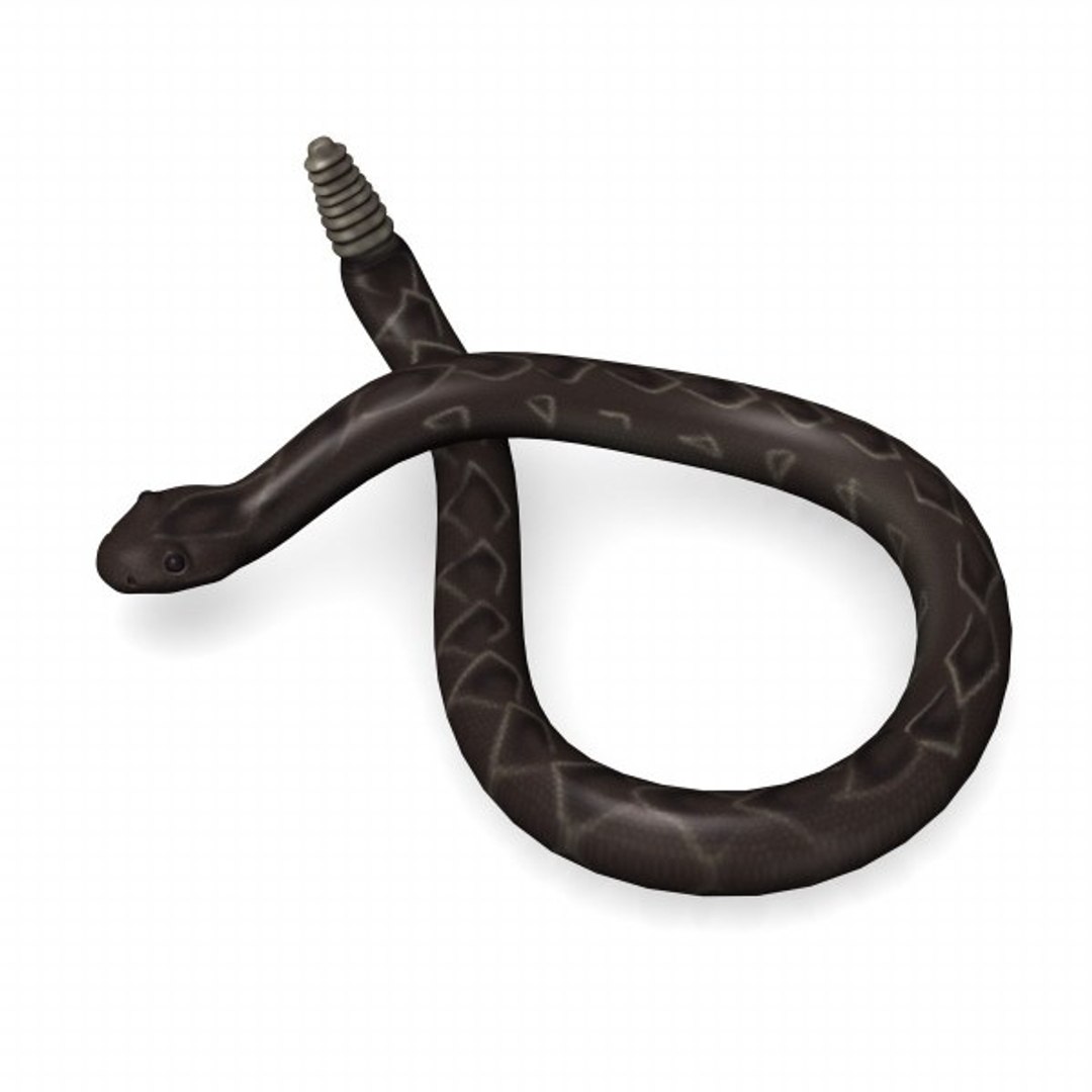 3d Model Snakes Cobra Python Rattlesnake