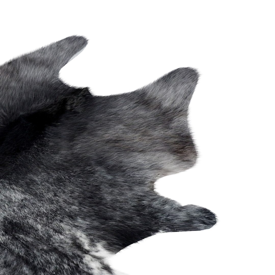 Animal Skin Rug 12 3D Model - TurboSquid 1782174