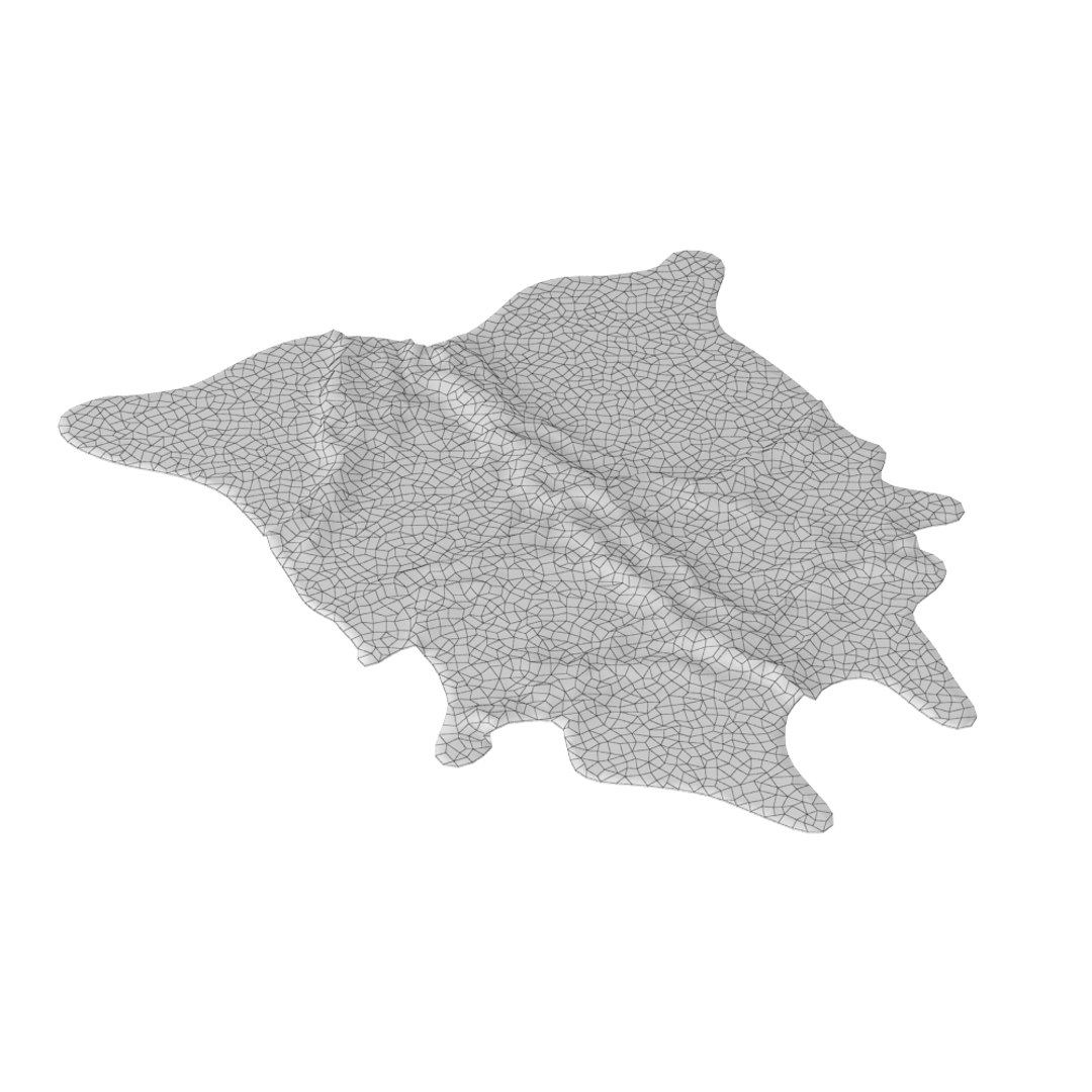 Animal Skin Rug 12 3D Model - TurboSquid 1782174
