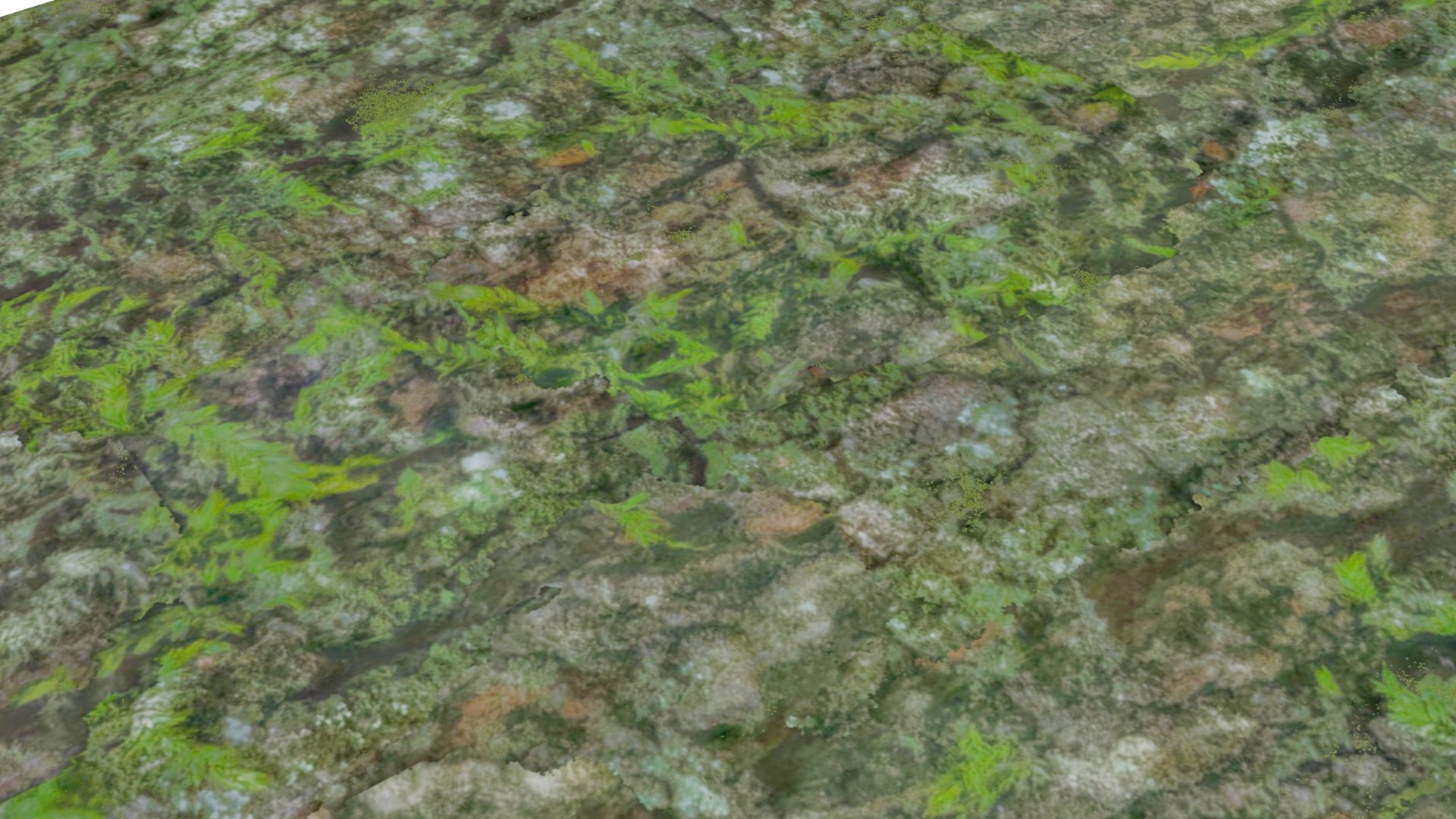 3D 2 Wooden Moss Set Model - TurboSquid 1845071