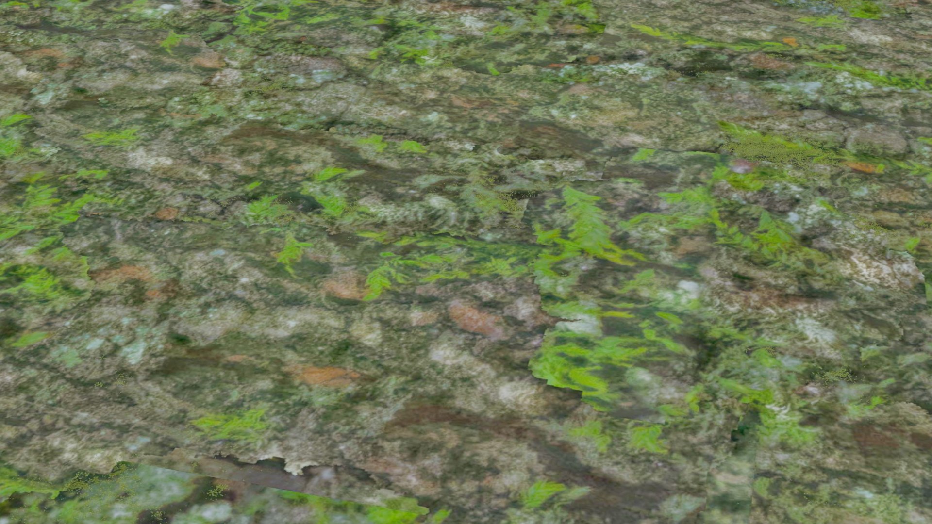 3D 2 Wooden Moss Set Model - TurboSquid 1845071