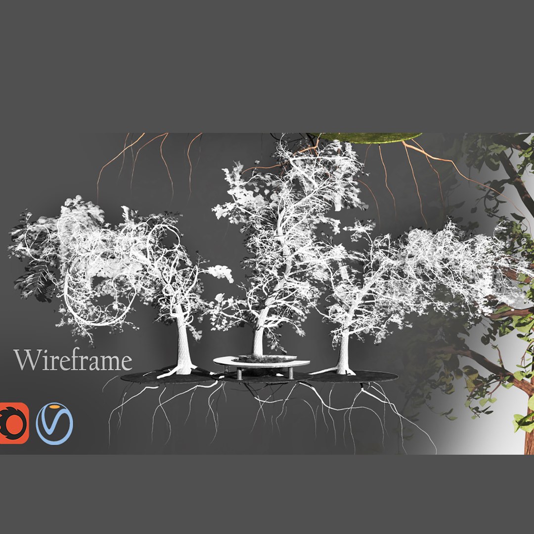 Trees Set 3D - TurboSquid 2118266