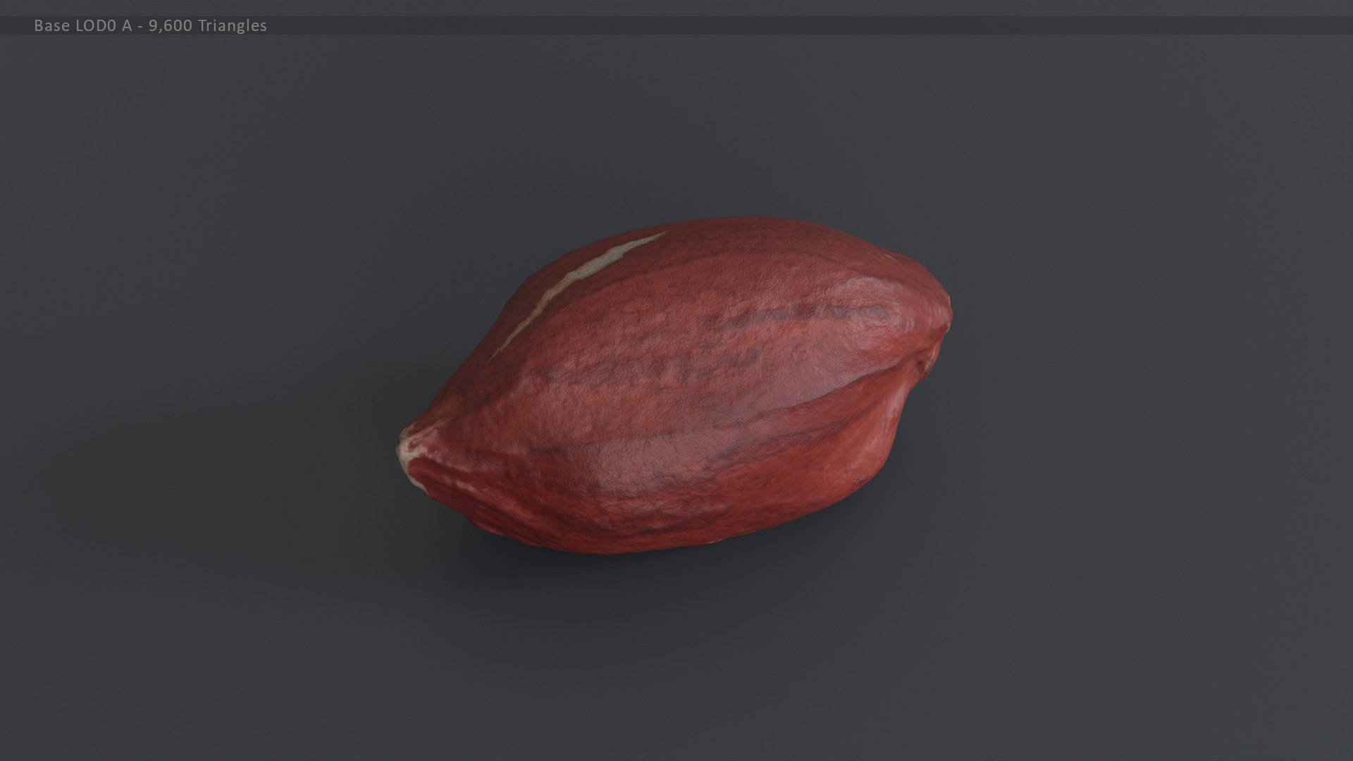 3D Peanut Kernel With Skin 2 Model - TurboSquid 2219212