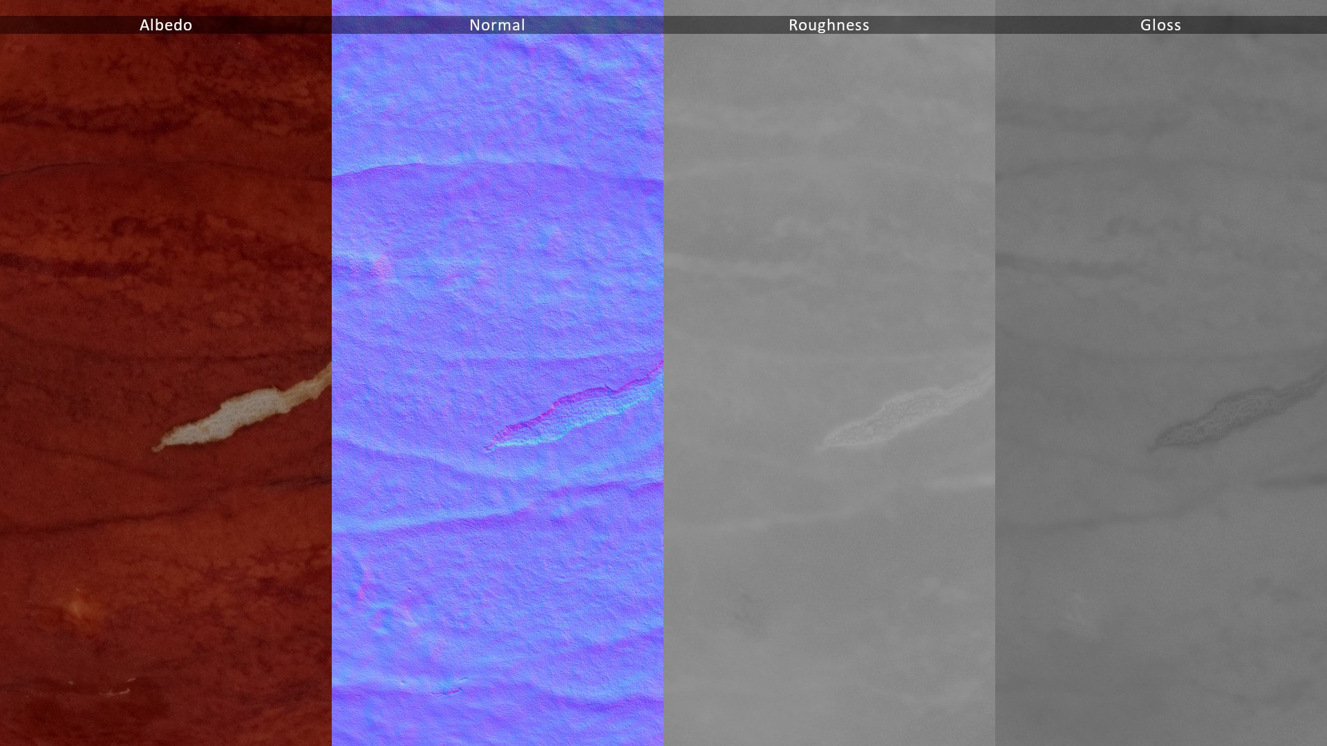 3D Peanut Kernel With Skin 2 Model - TurboSquid 2219212