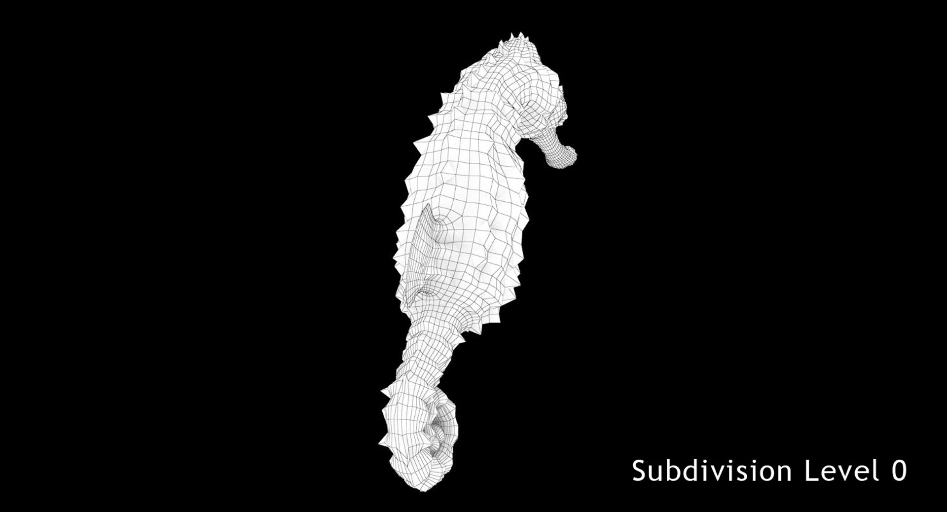 Seahorse Animation 3d Model