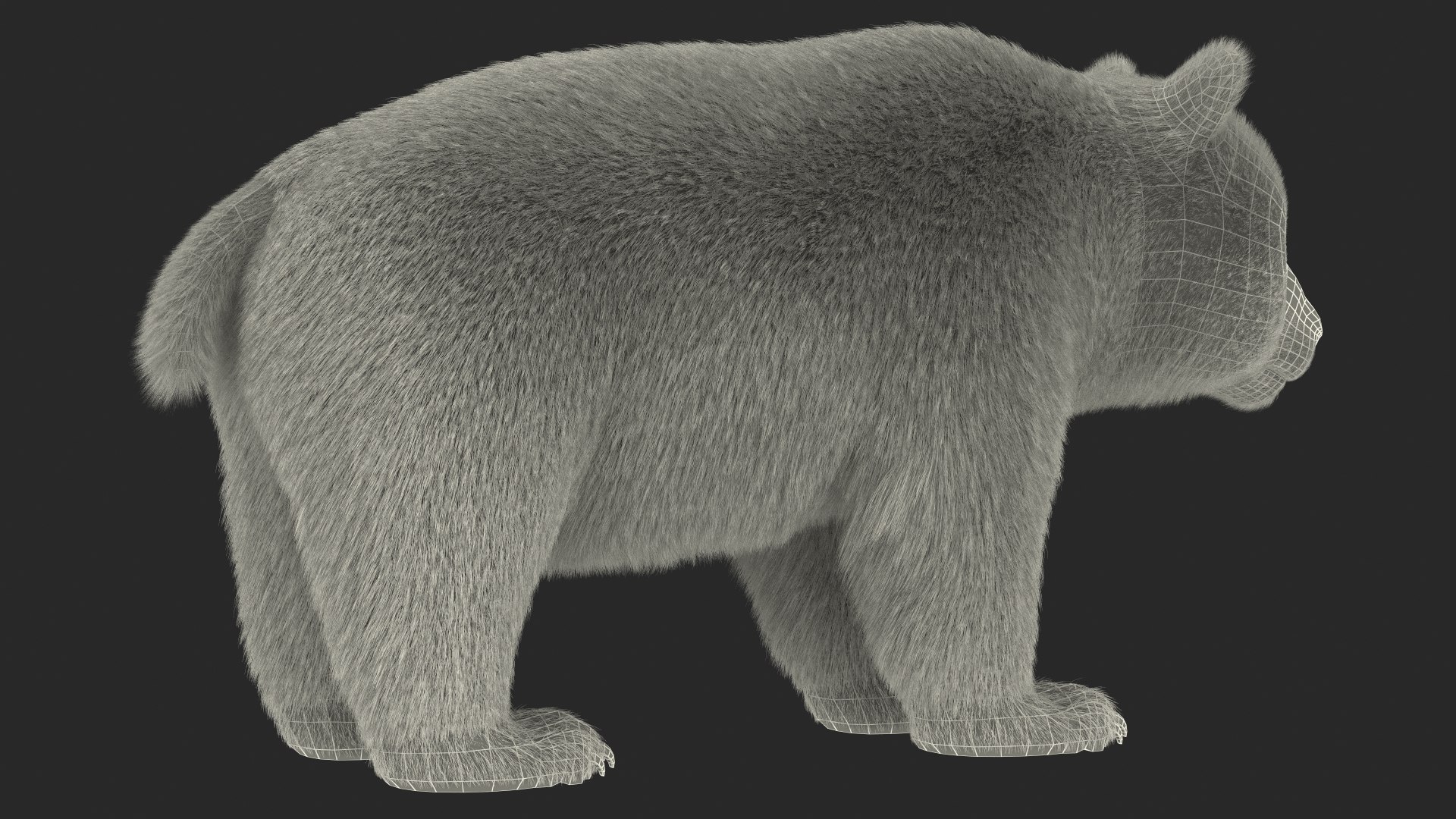 3D model Giant Panda Fur Rigged - TurboSquid 1805454