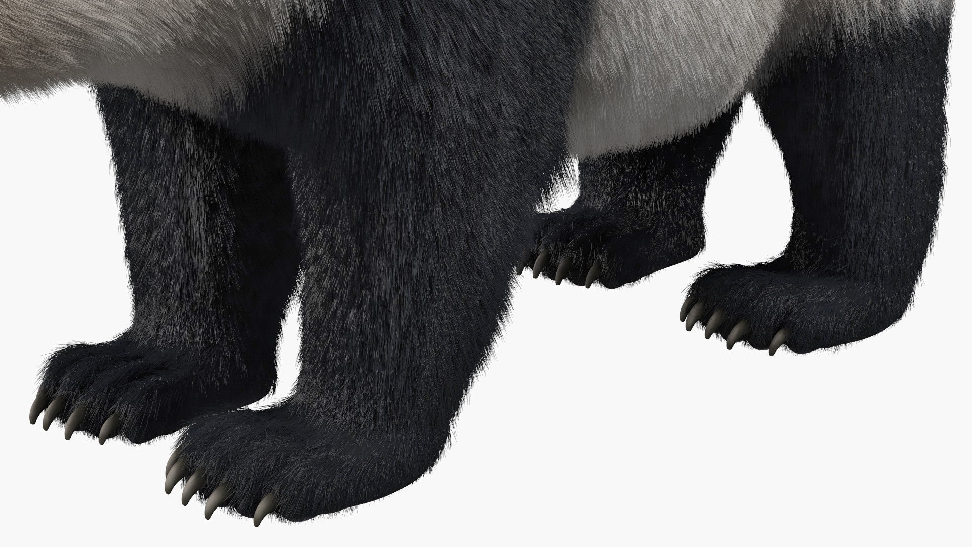 3D model Giant Panda Fur Rigged - TurboSquid 1805454