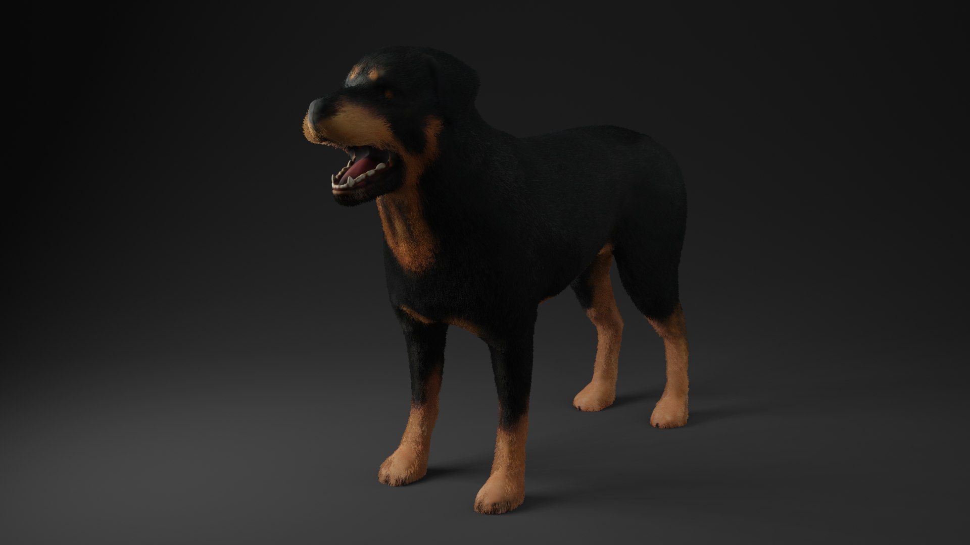 modelo 3d Rottweiler Dog Model - TurboSquid 2064698