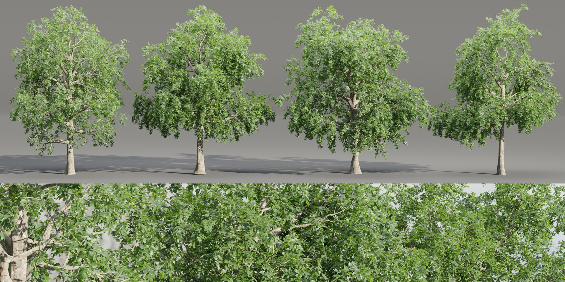 3D Model Trees Collection Vol 238-Blender-3dmodel - TurboSquid 2213964