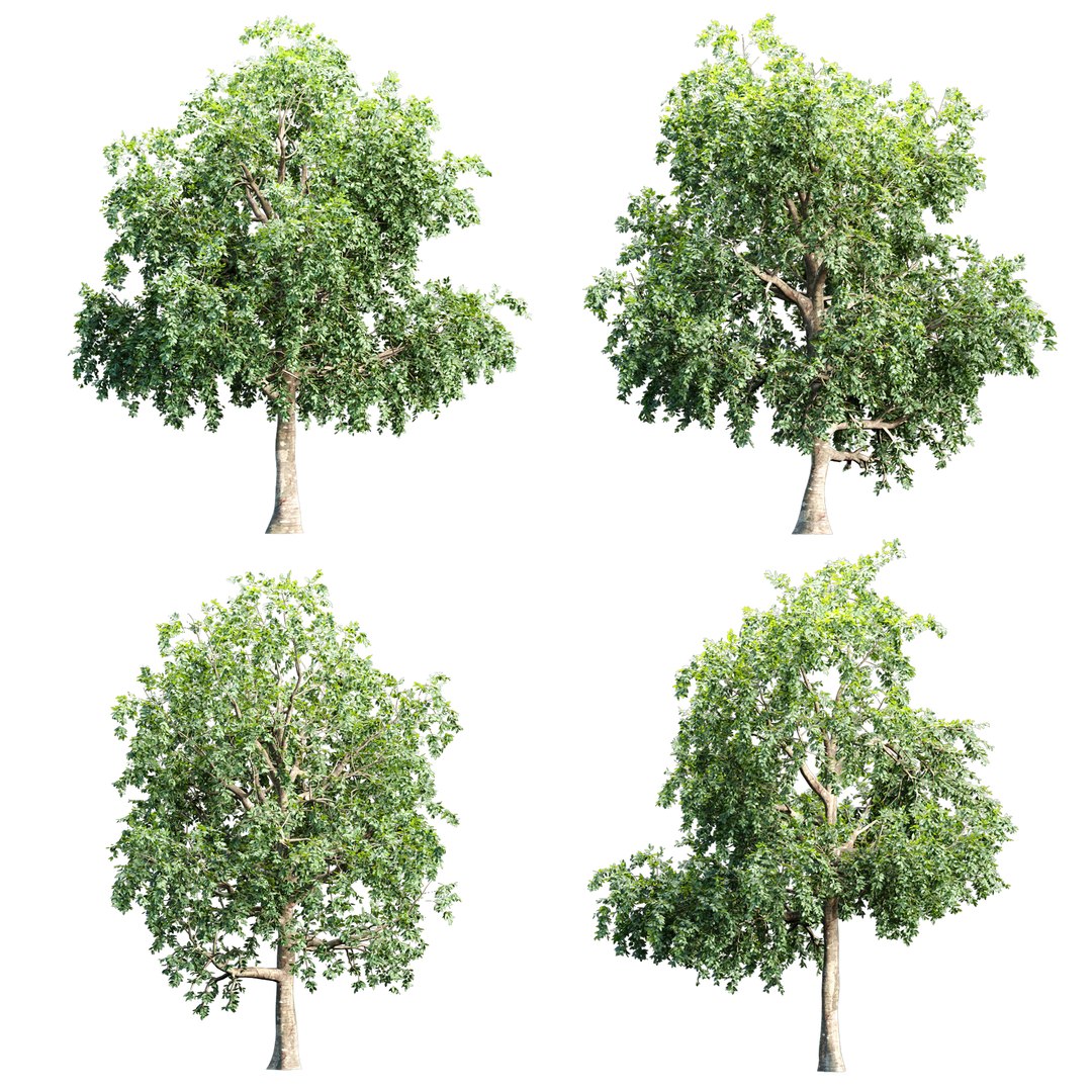 3D Model Trees Collection Vol 238-Blender-3dmodel - TurboSquid 2213964