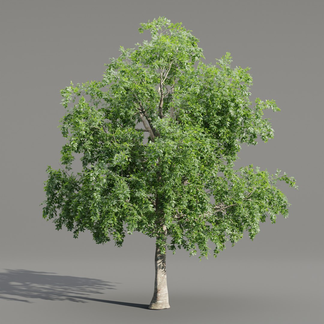 3D Model Trees Collection Vol 238-Blender-3dmodel - TurboSquid 2213964