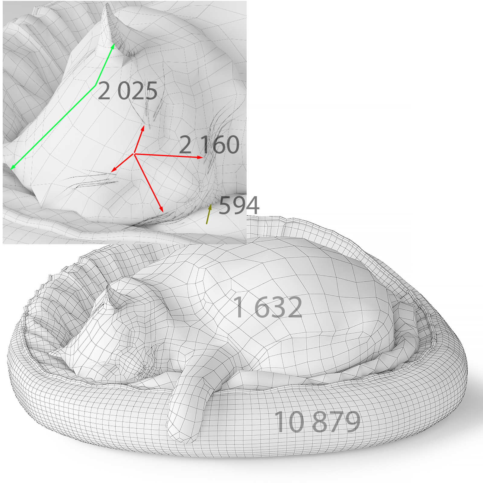 Cat with Fur 3D model - TurboSquid 1730702