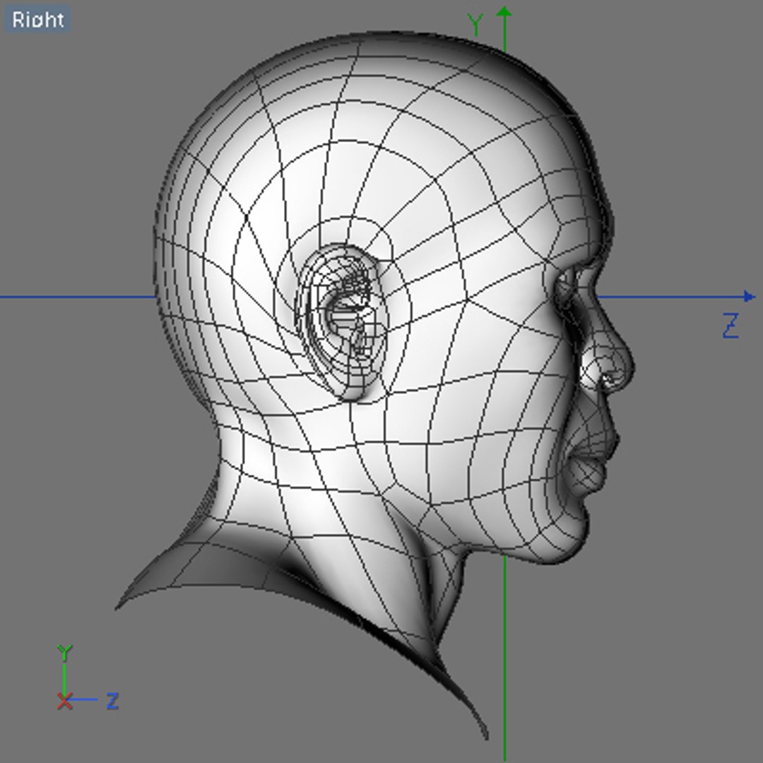 3d Dxf Samuel Human Male Head Reference