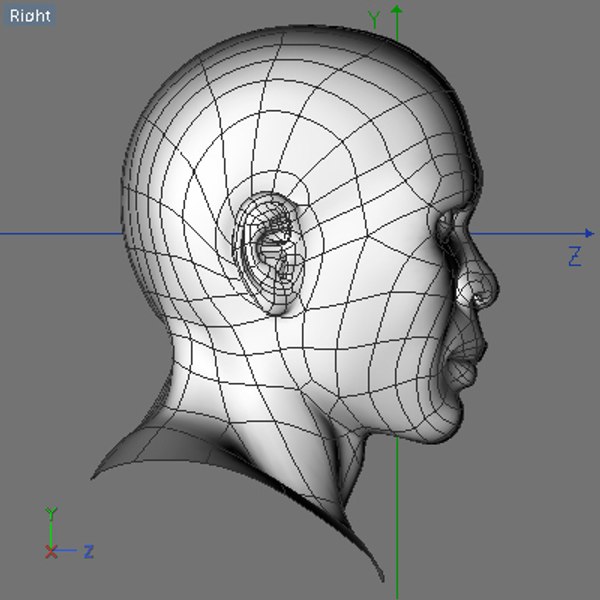 3d dxf samuel human male head reference