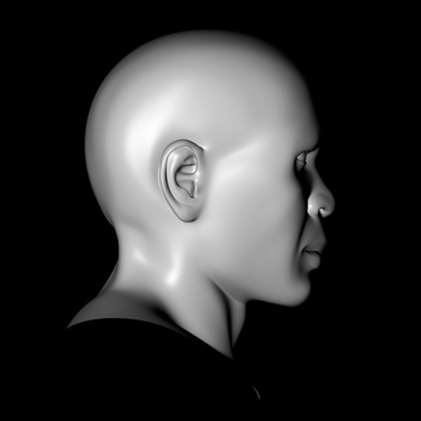 3d dxf samuel human male head reference