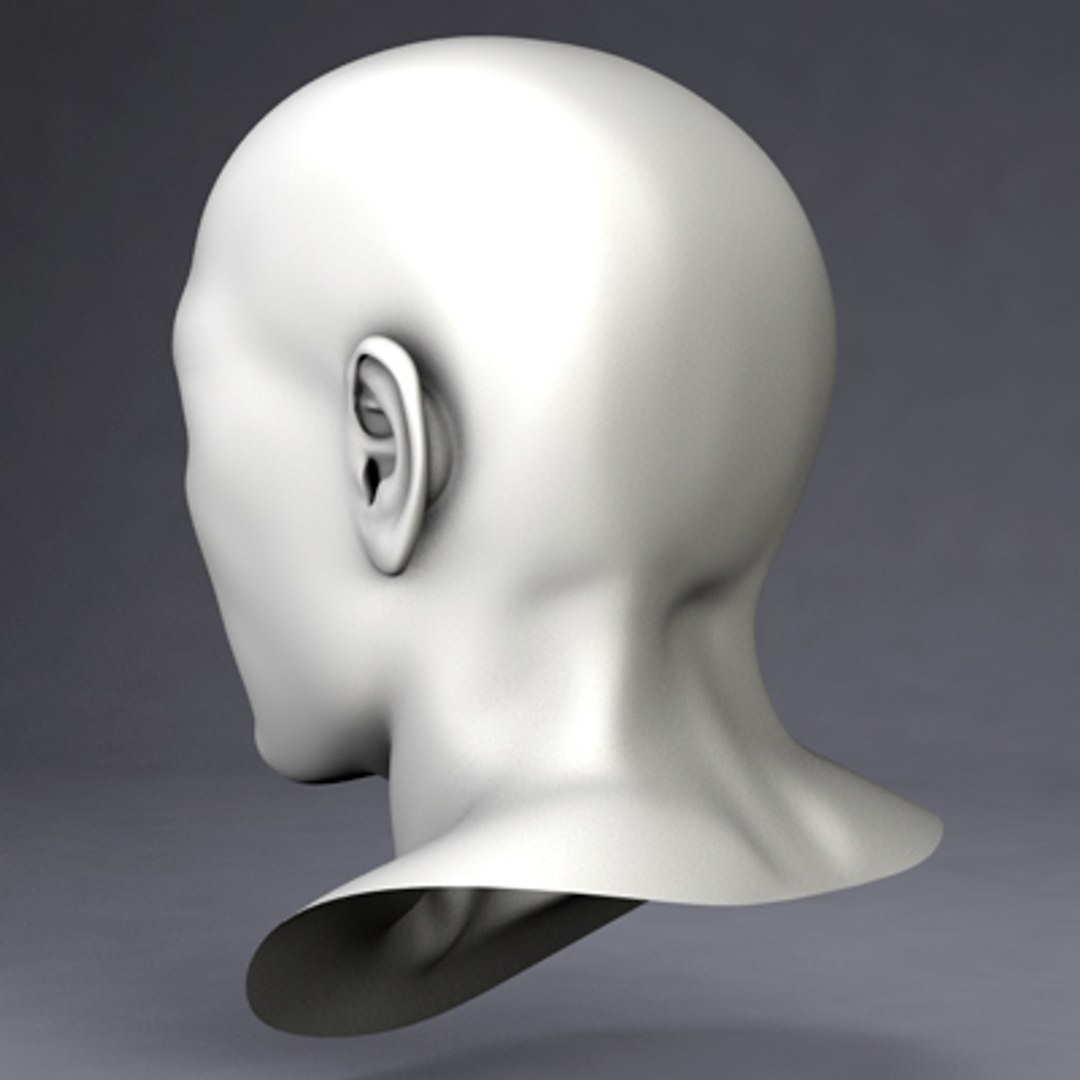 3d Dxf Samuel Human Male Head Reference
