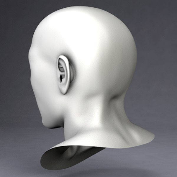 3d dxf samuel human male head reference