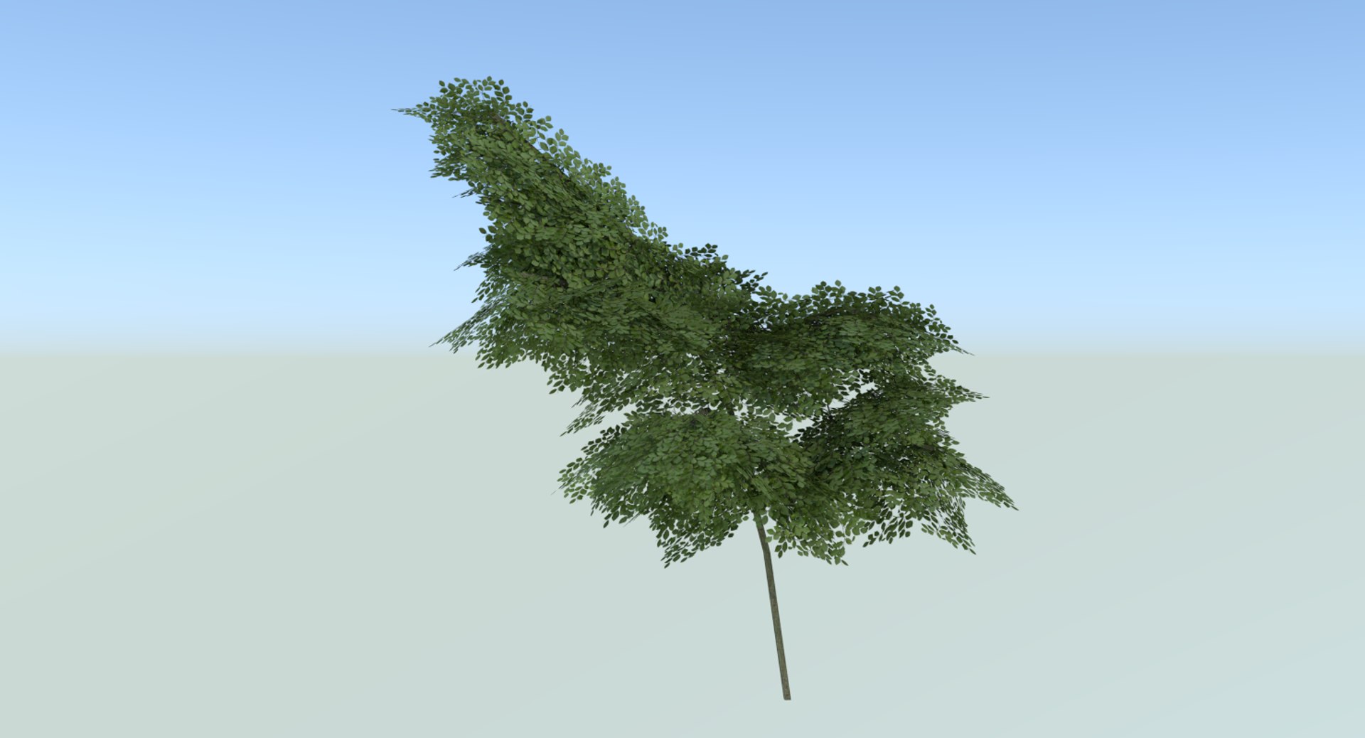 Ready Bush 3d Model