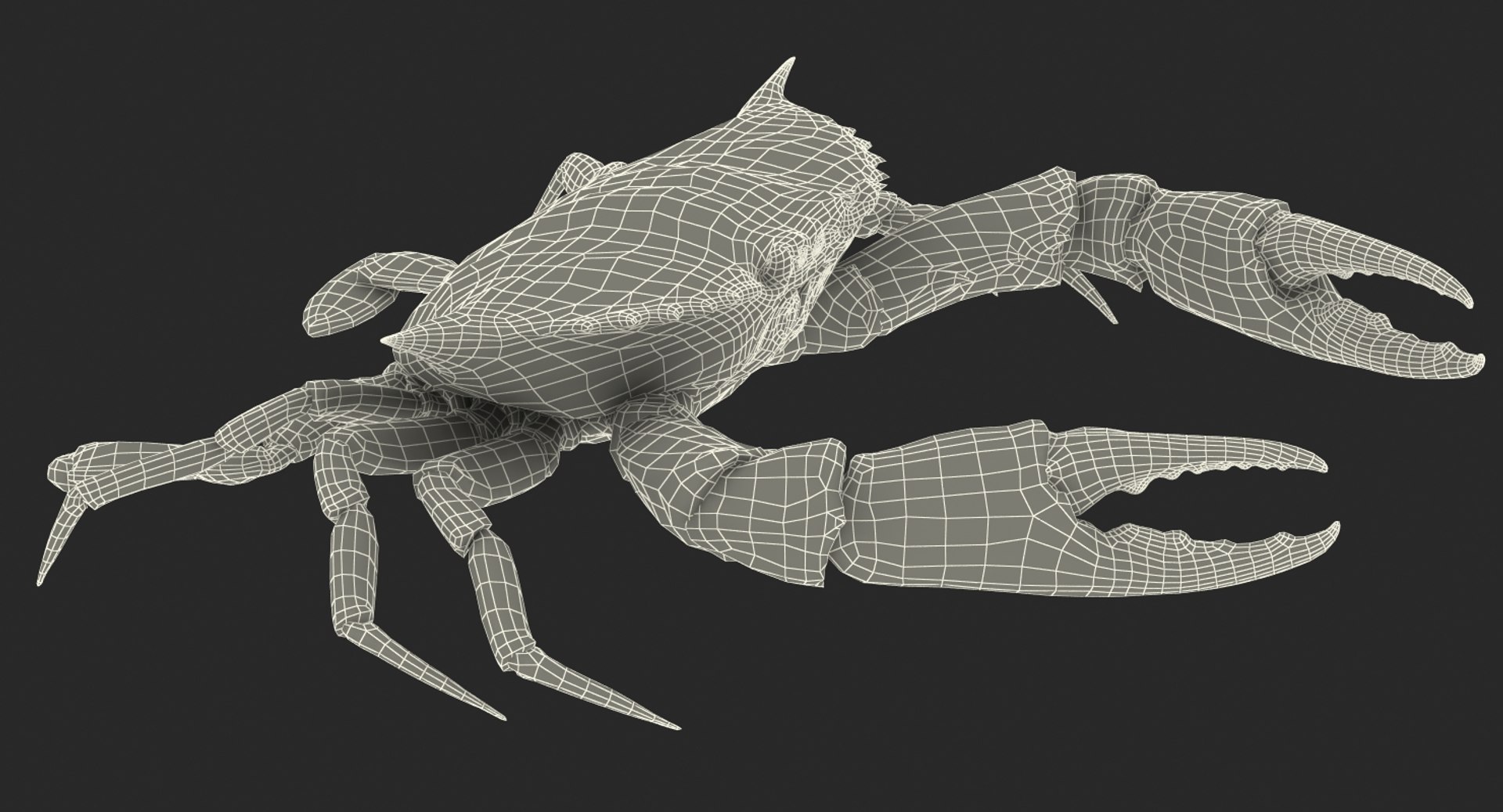 3d model atlantic blue crab