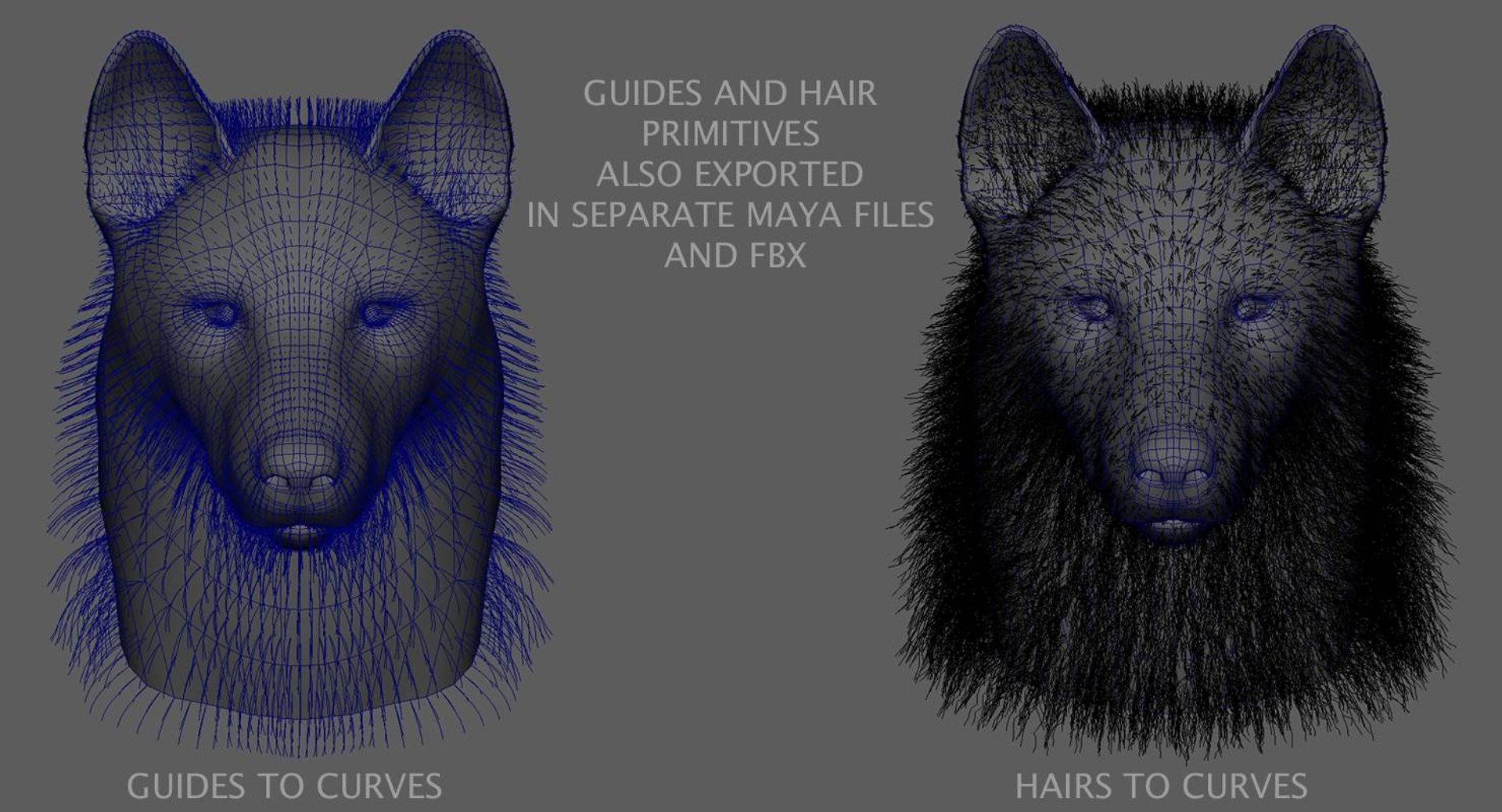 Wolfs head fur 3D model - TurboSquid 1404090