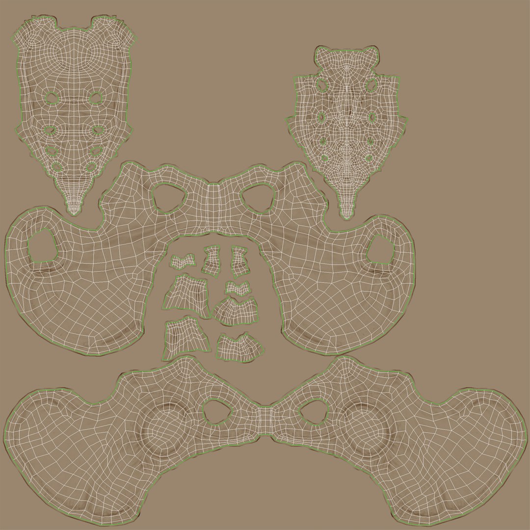 female torso skeleton 3d obj