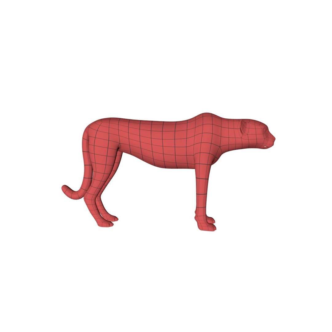 3d Model Base Mesh Cheetah