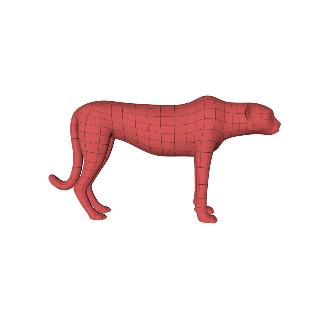 3d Model Base Mesh Cheetah