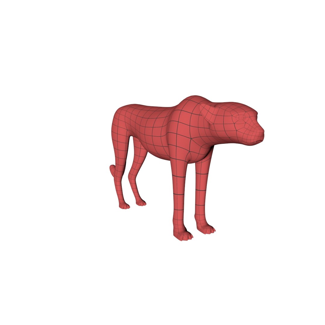 3d Model Base Mesh Cheetah