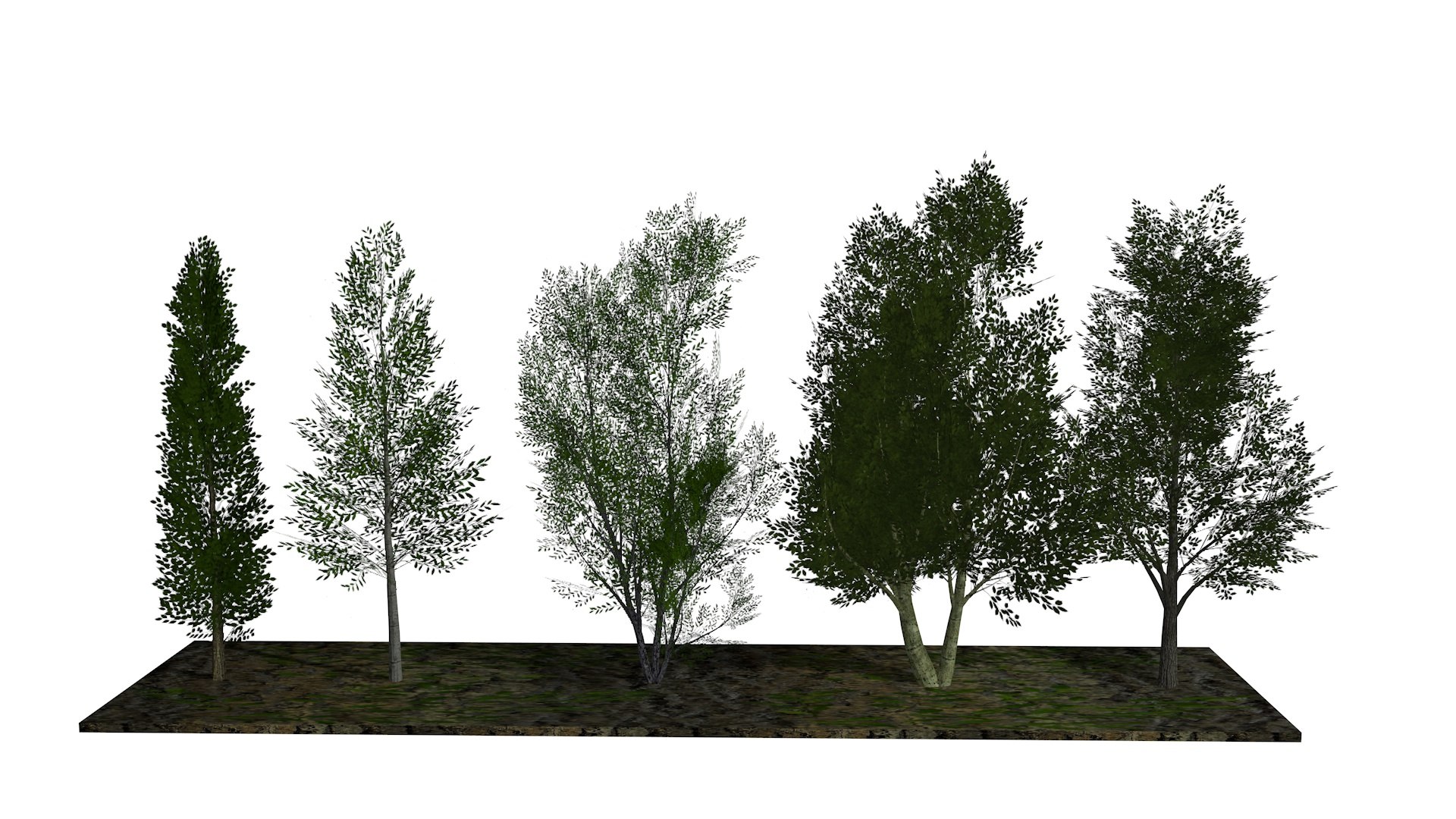 Five Low Poly Trees 2 Model - TurboSquid 1770211