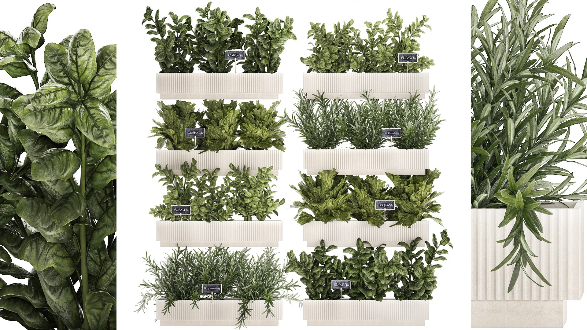 Kitchen mini garden with rosemary vegetables basil 1415 3D model ...