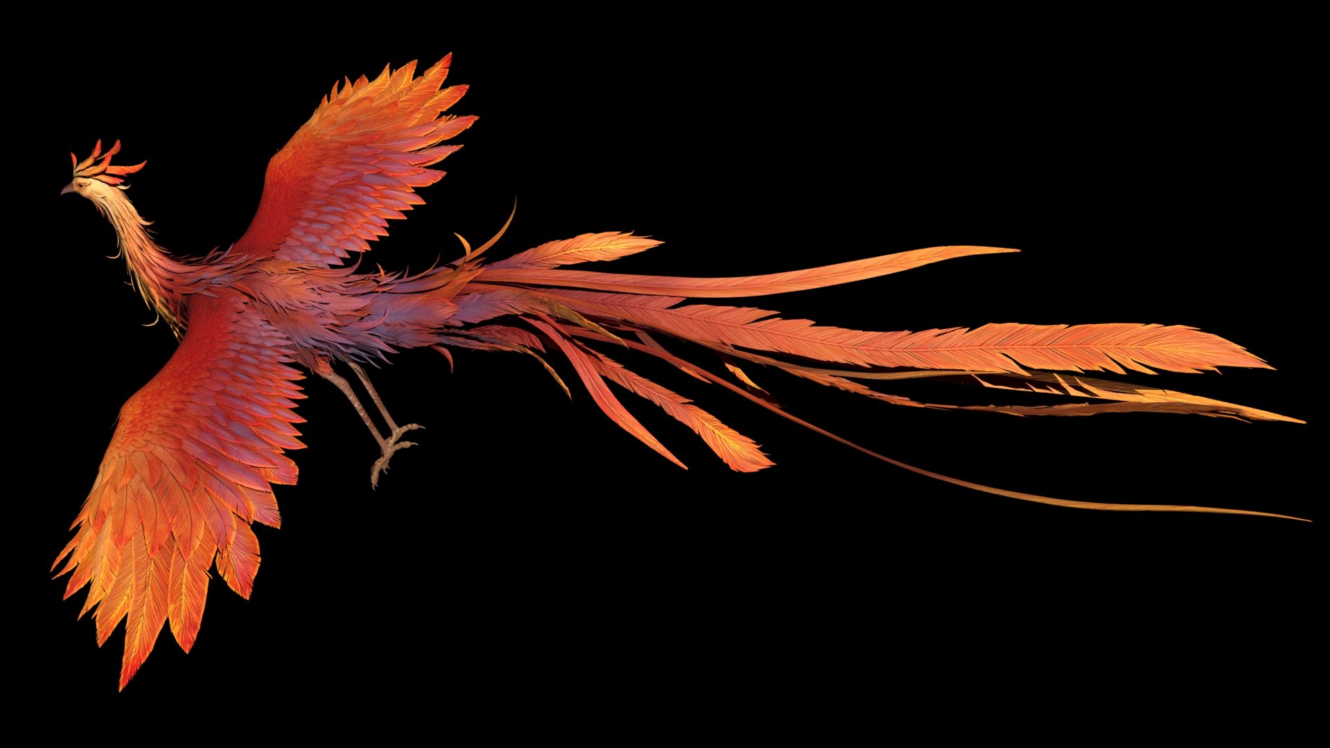 Phoenix The Fire - Bird The Divine Bird 3D - TurboSquid 2398755