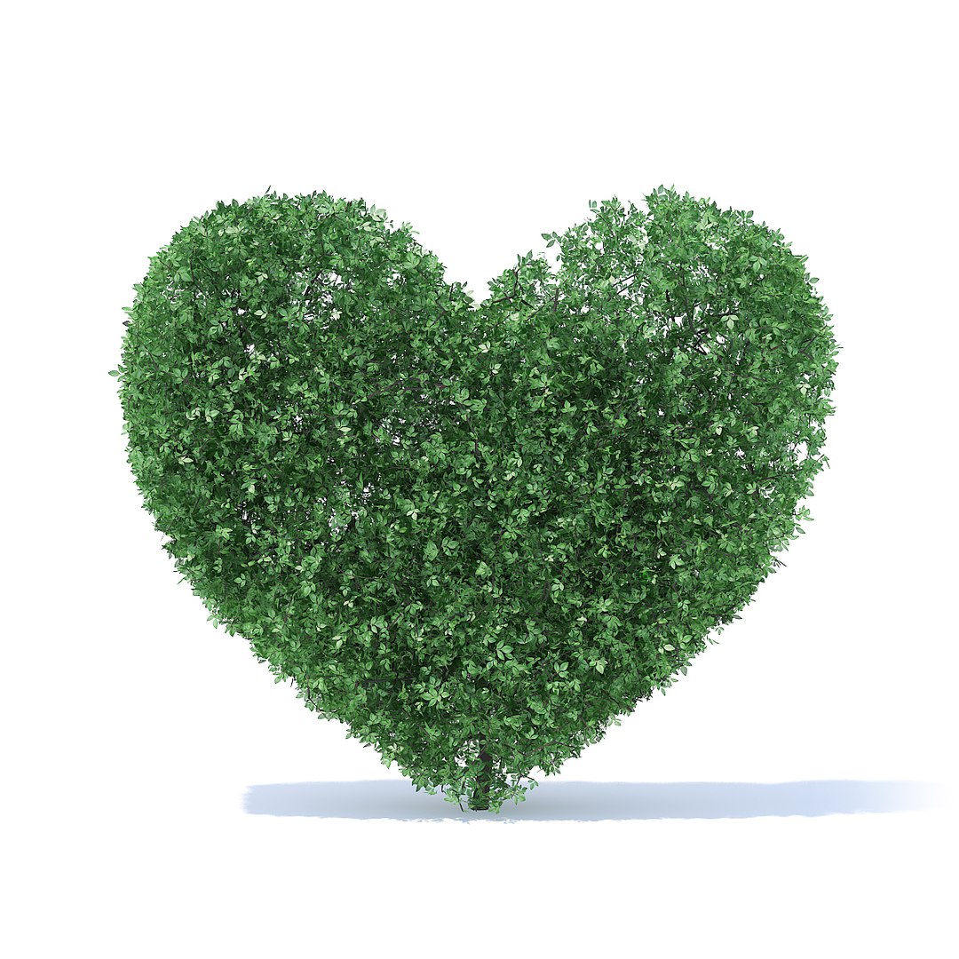 Heart Shaped Shrub 3D Model - TurboSquid 1220811