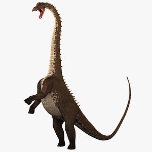3D Diplodocus Models - Browse & Download Formats - TurboSquid