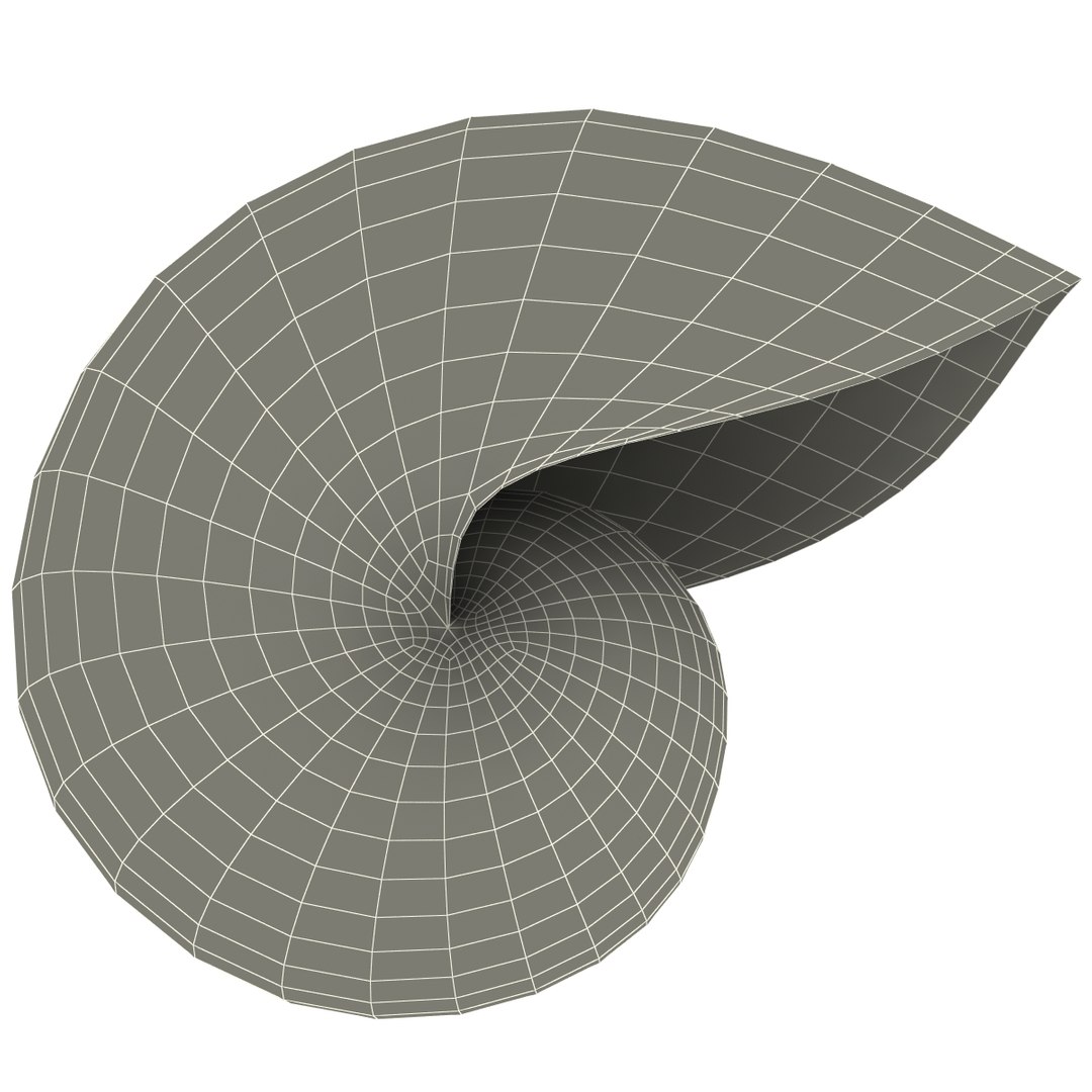 Seashell Nautilus 3d Model