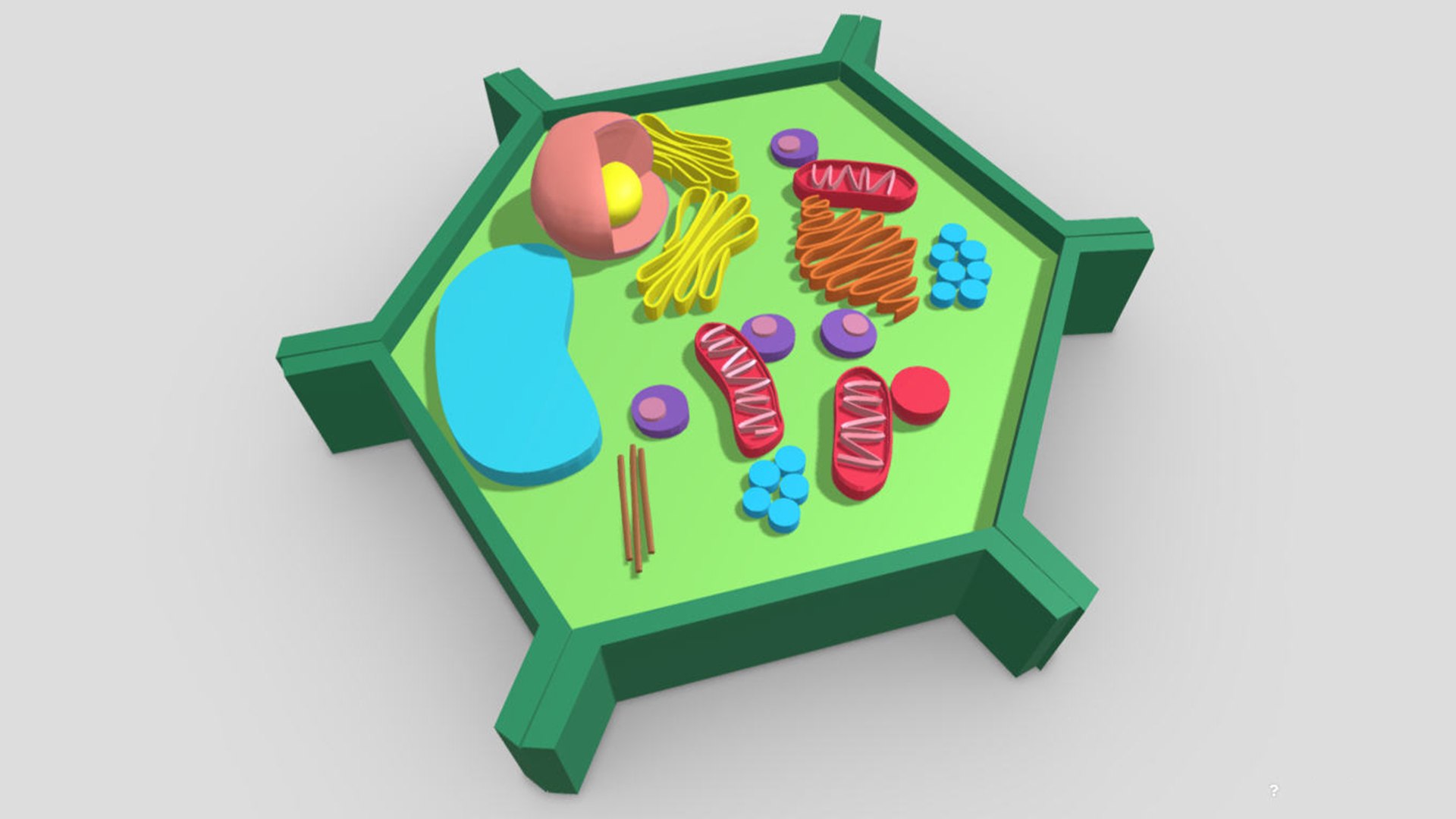 3D Plant Cell Model - TurboSquid 2131328