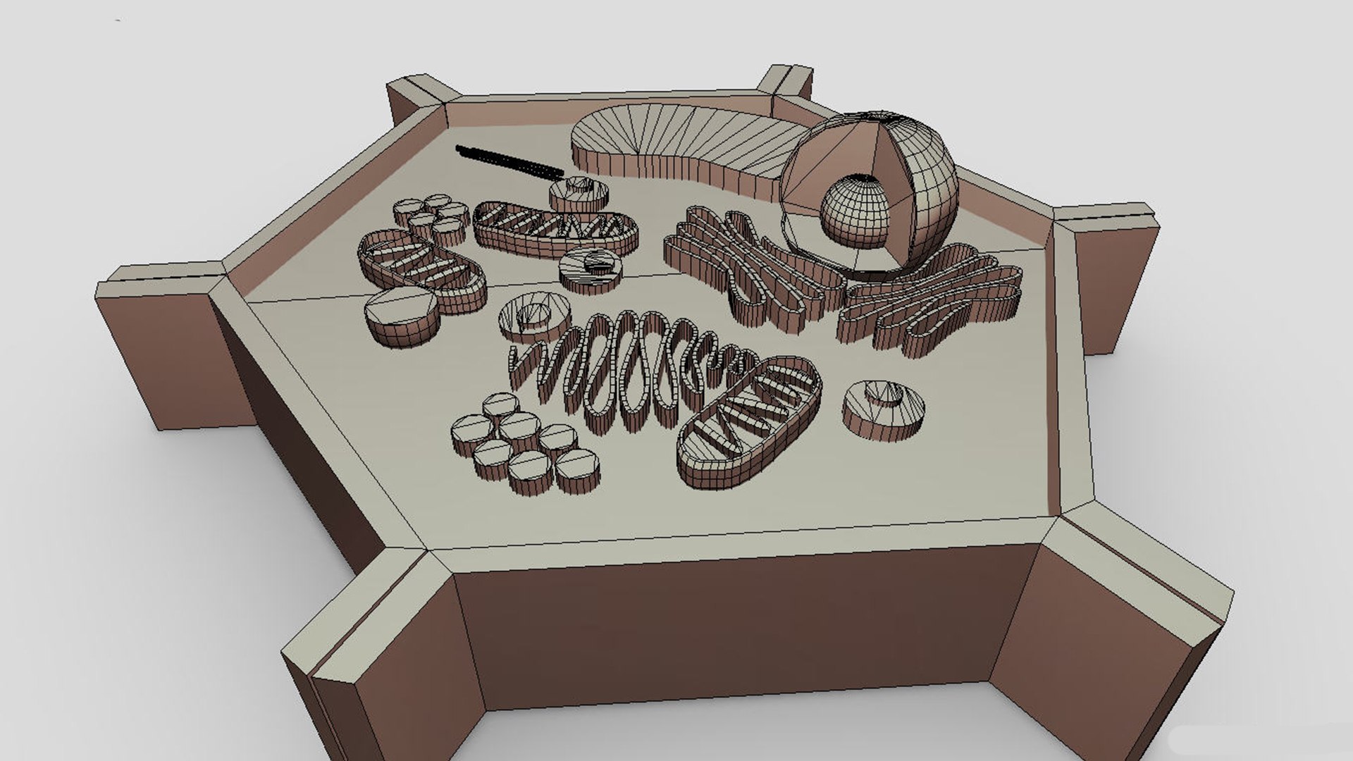3D Plant Cell Model - TurboSquid 2131328