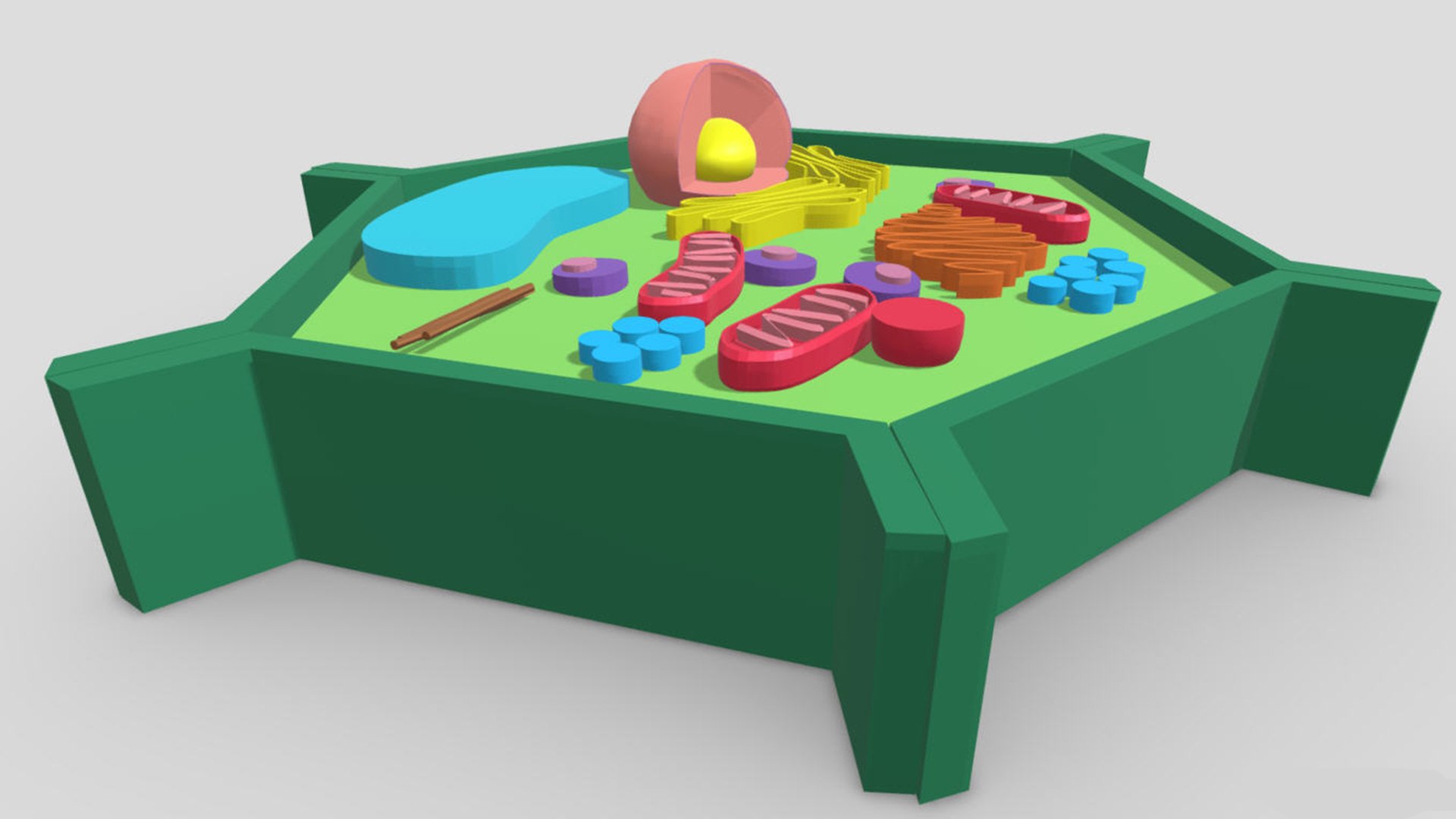 3D Plant Cell Model - TurboSquid 2131328