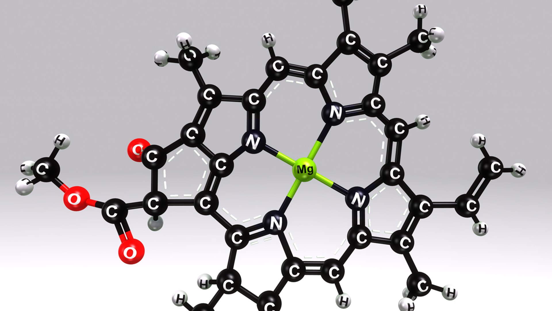 chlorophyll b structure