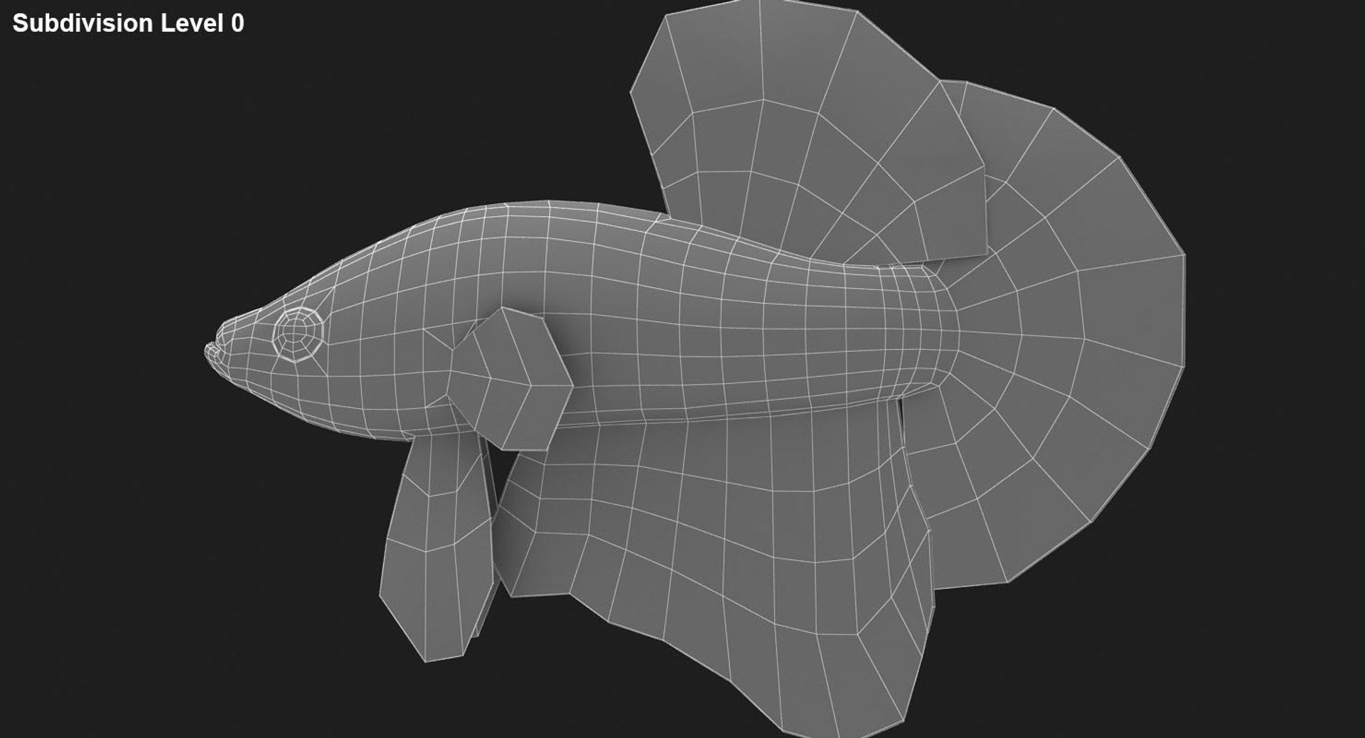 3D Betta Set - TurboSquid 1385226