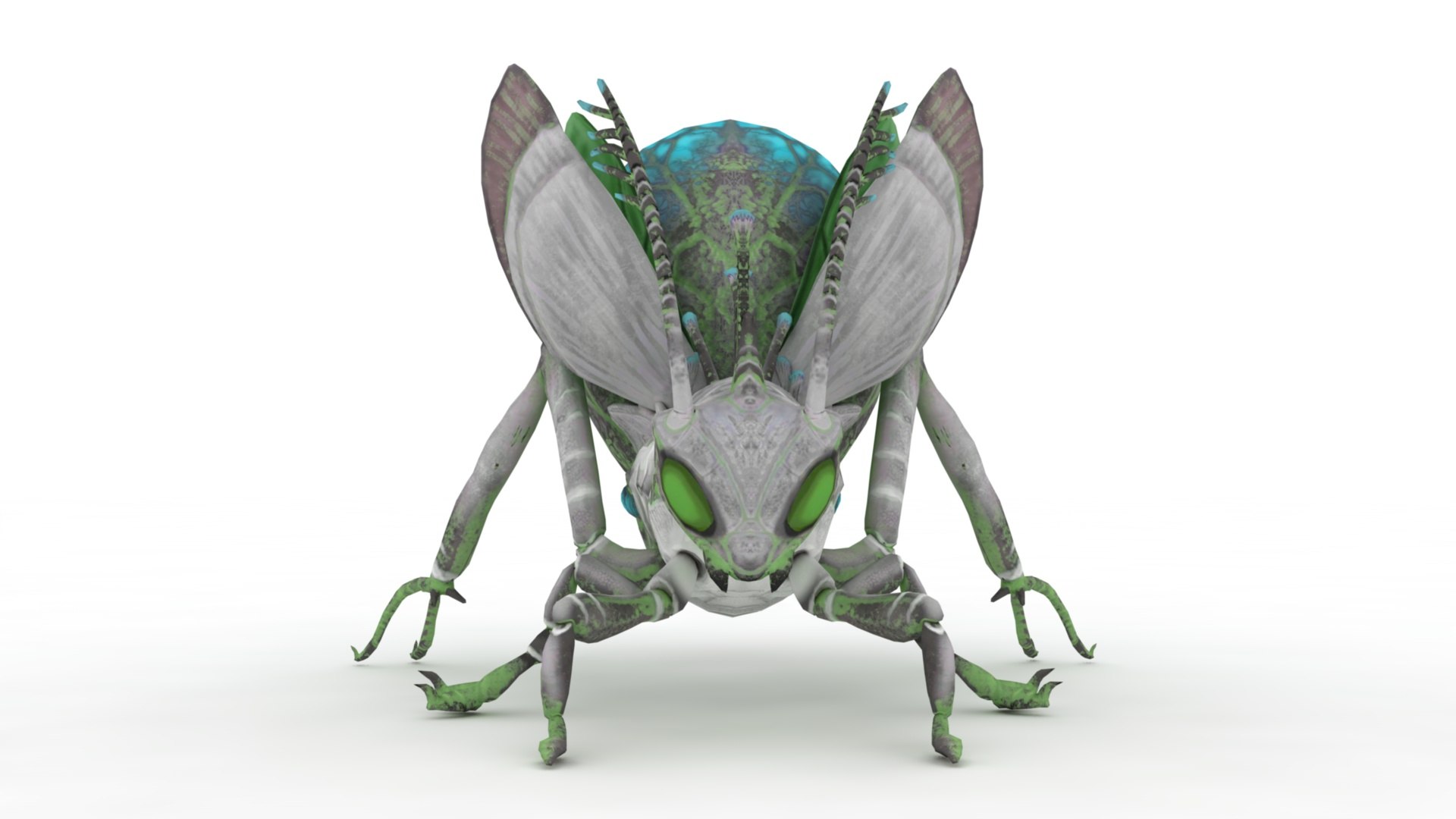 3D Model Bug - TurboSquid 2303306