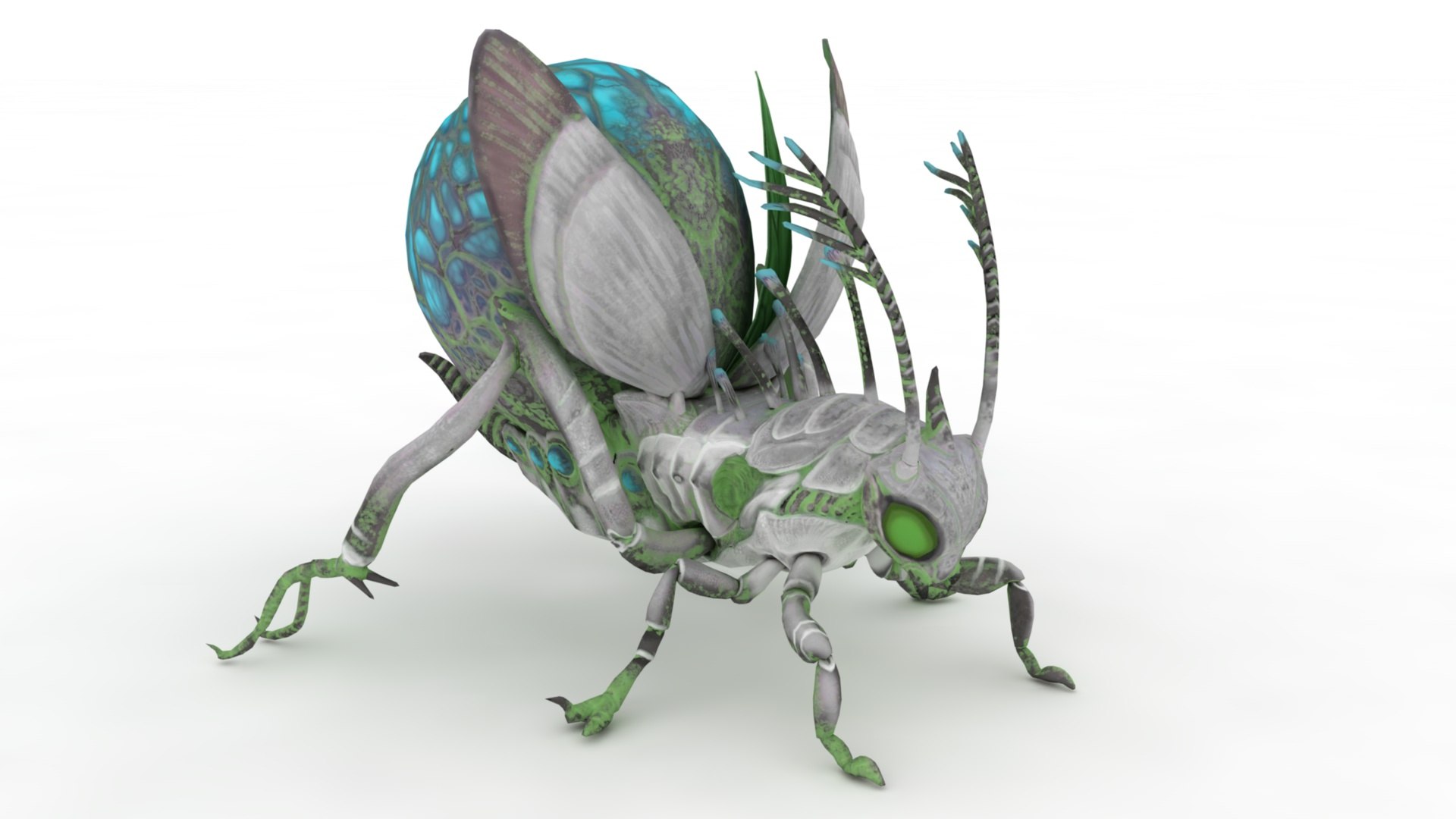 3D Model Bug - TurboSquid 2303306